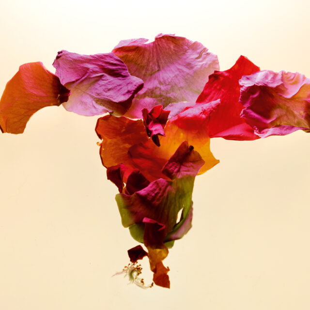 All The Bright Places: Artist James Clar On His New York Exhibition | Art