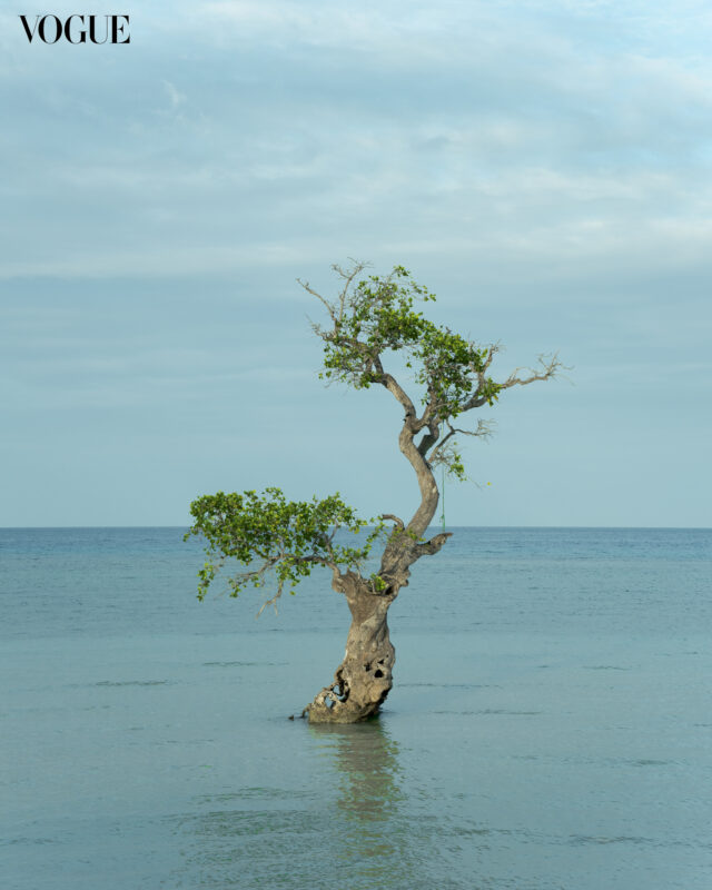 Bretman Rock Is At Home In The World