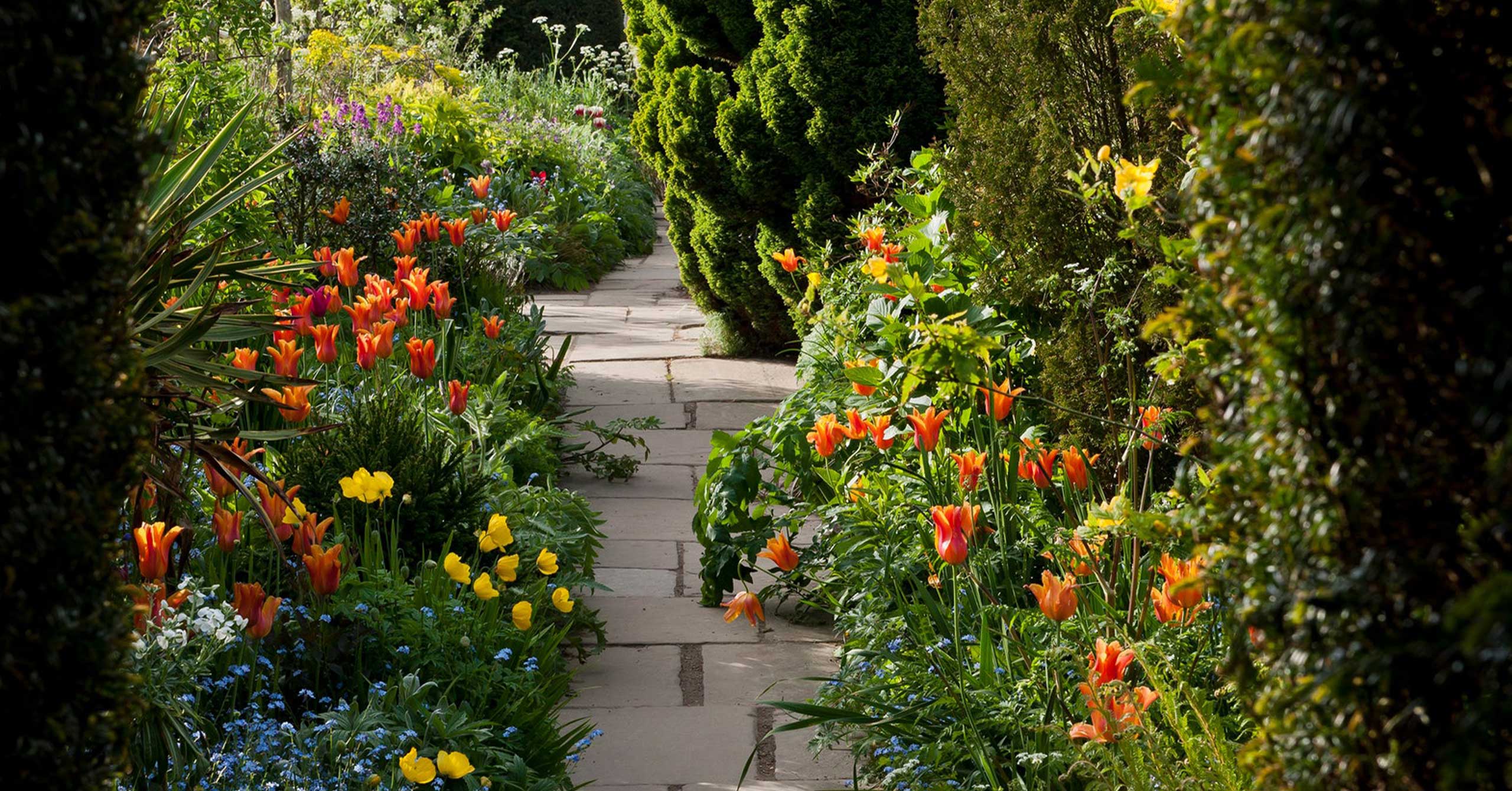 Erdem Launches Its First Bag During London Fashion Week