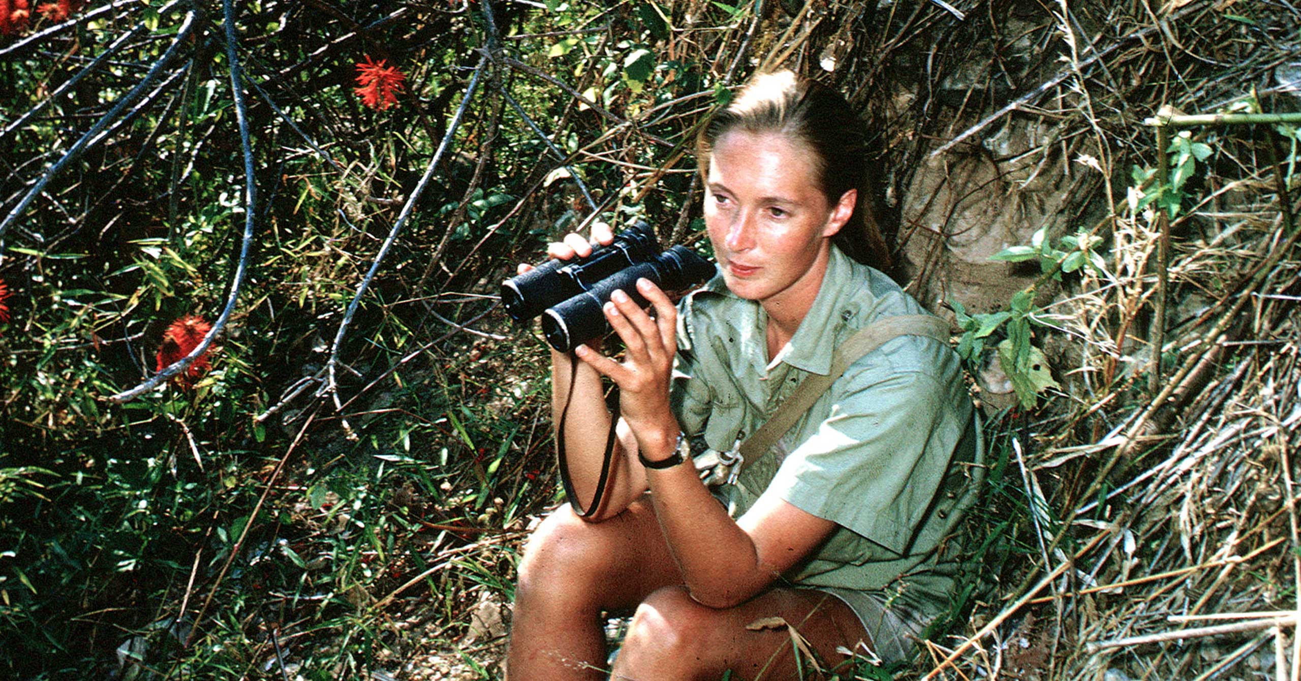 Dr. Jane Goodall: 5 Things To Know About Her